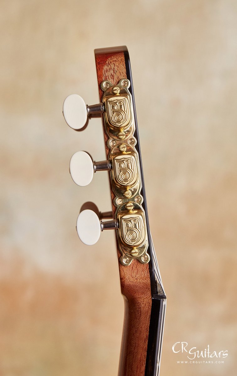 Shelley Park Modèle Encore - CR Guitars